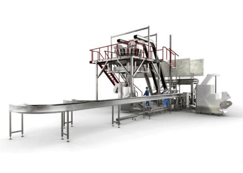 Potato Chip Packing Line - Caliber Design