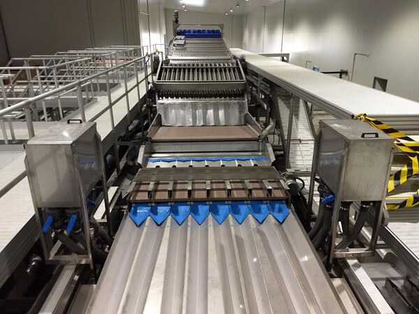 Peter Jackson - Caliber Design